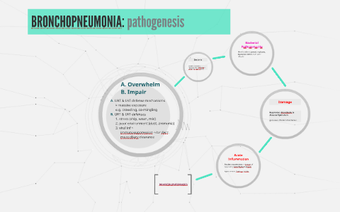 Bronchopneumonia: pathogenesis by victoria kichler on Prezi