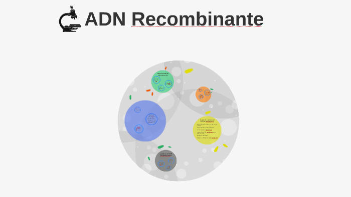 ADN recombinante by on Prezi