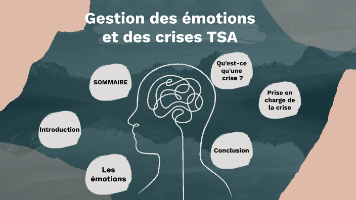 Troubles du spectre autistique by Laëtitia MAJAULT on Prezi