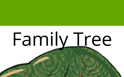 French Family Tree by mathew doucet