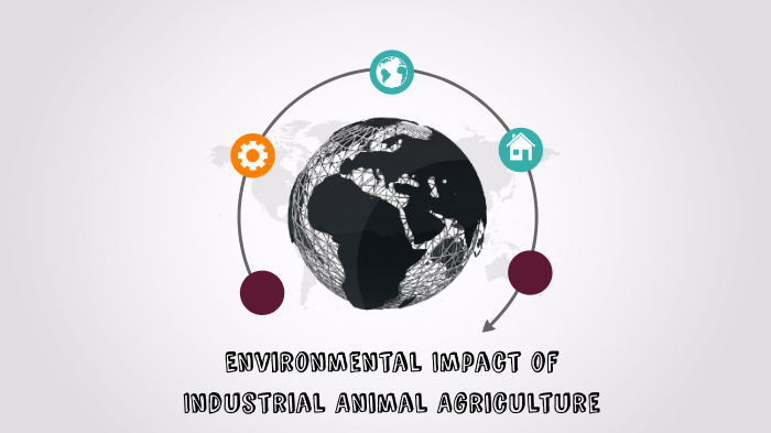 Environmental Impact of Industrial Agriculture by Trinity Brandt