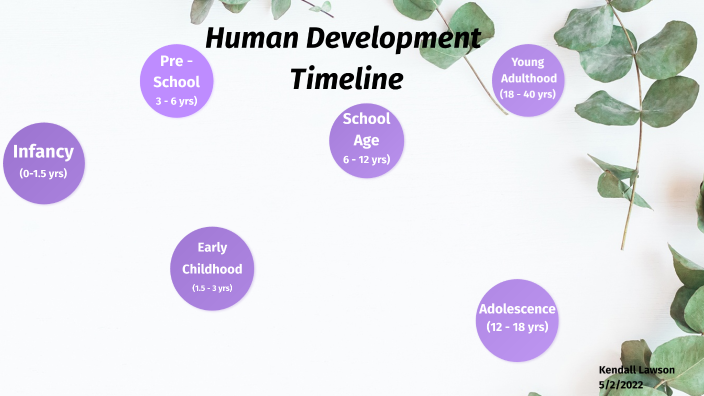 Human Development Timeline by Kendall Lawson on Prezi