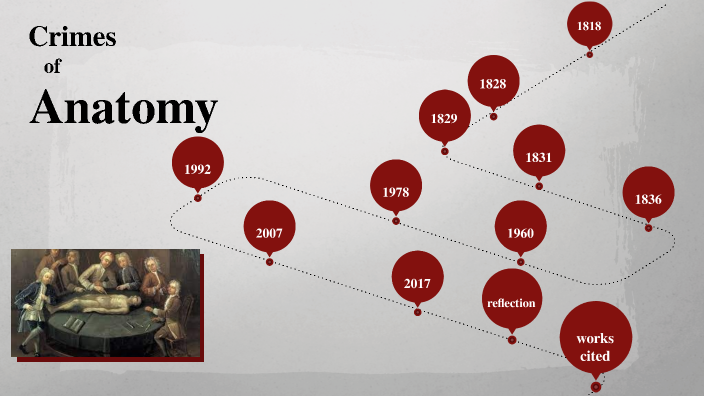 Crimes of Anatomy Timeline Presentation - Sarah Molina by Sarah ...