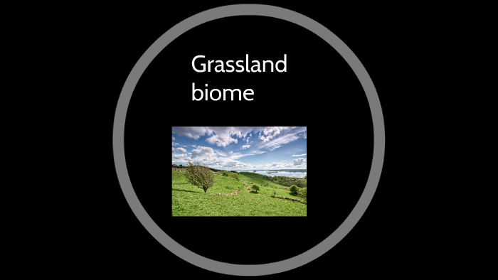 Grass is a producer by James W on Prezi