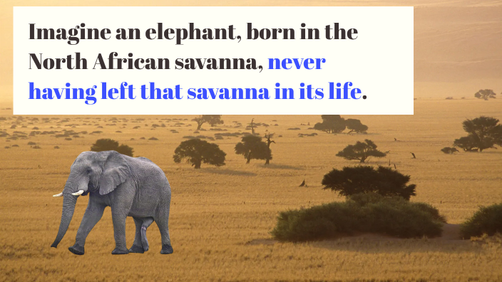 The Rise and Fall of Carthage by Peggy Tsai on Prezi