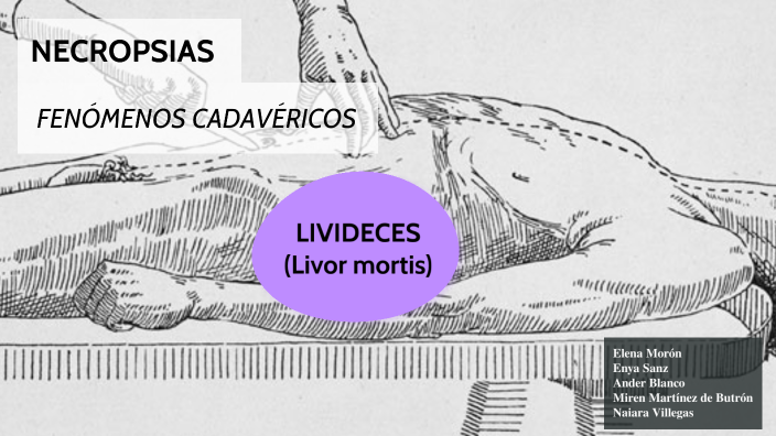Necropsias: Livideces by Elena Morón on Prezi