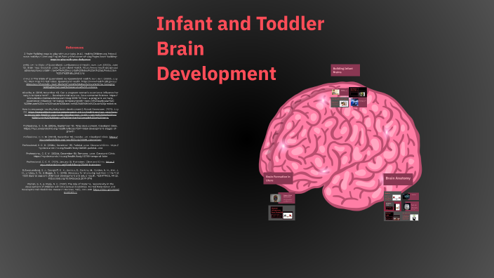Infant and Toddler Brain Development by Carlese Ronning on Prezi