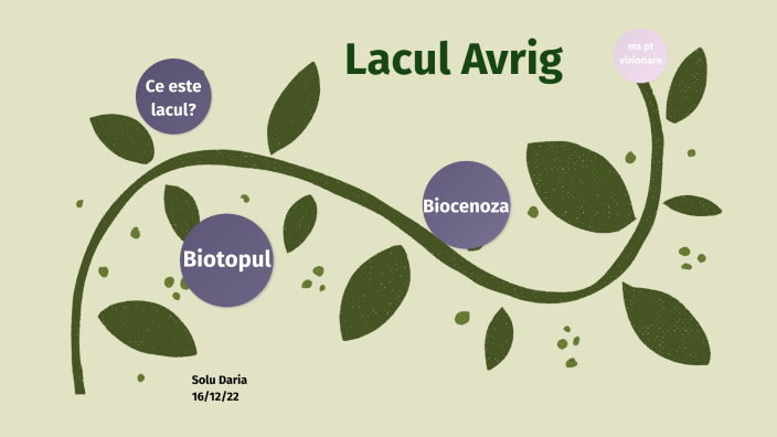 Avrig lake by Solu Daria on Prezi