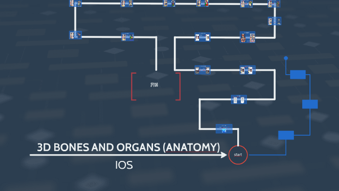 3D BONES AND ORGANS (ANATOMY) by lucia peral on Prezi