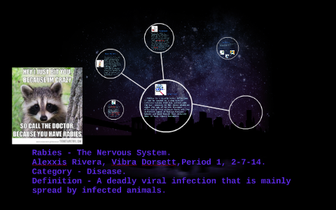 Rabies - The Nervous System. by Alexxis Rivera. on Prezi