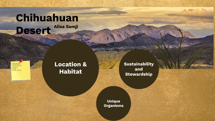 Chihuahuan Desert by Alisa Samji on Prezi