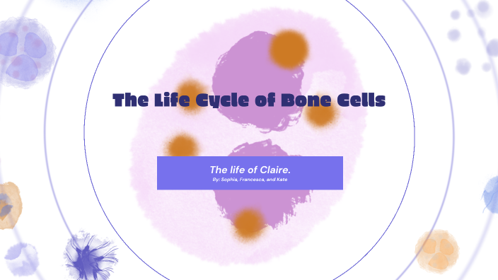 The Life Cycle of Bone Cells by Francesca D'Accio on Prezi