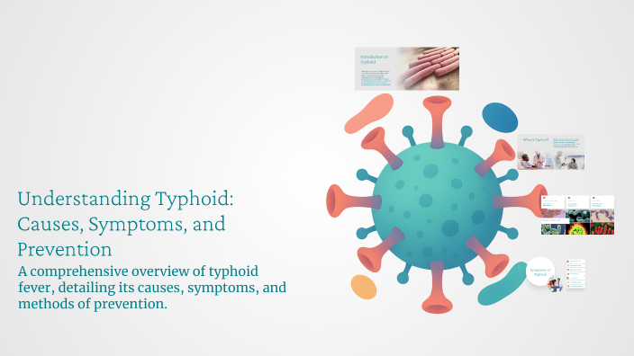 Understanding Typhoid: Causes, Symptoms, and Prevention by Asin ...