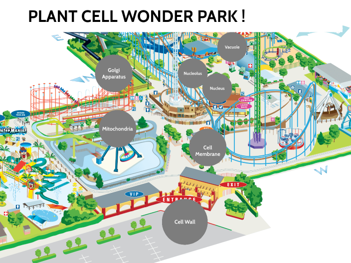 CELL WALL AMUSEMENT PARK by Bryson Whited on Prezi