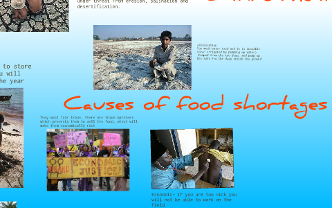 Causes of food shortages * by Aino Takeshita