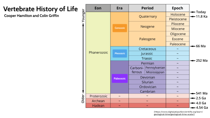 Evolution of Life by Cooper Hamilton on Prezi