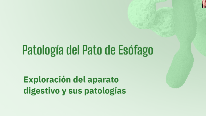 Patología del Pato de Esófago by daniel Moreno muñoz on Prezi