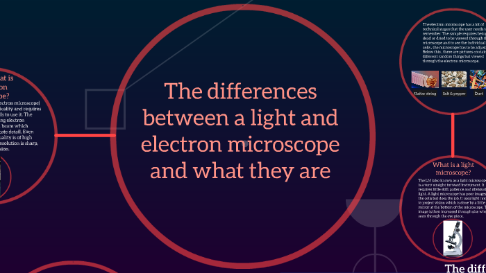 The difference between a light and electron microscope by Karima Mir on ...