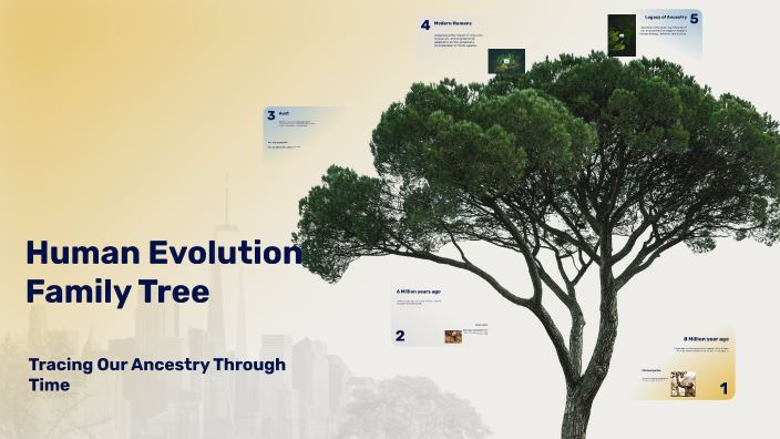 Human Evolution Family Tree by Janette Angeles Santiago on Prezi