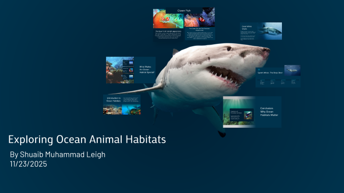 Exploring Ocean Animal Habitats by Mariama Diallo on Prezi