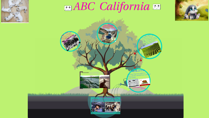 Abc California by Genevive Cerda on Prezi