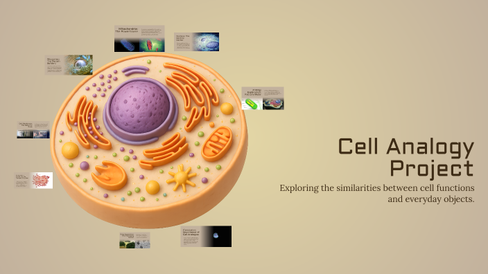 Cell Analogy Project by lila1210 lila1210 on Prezi