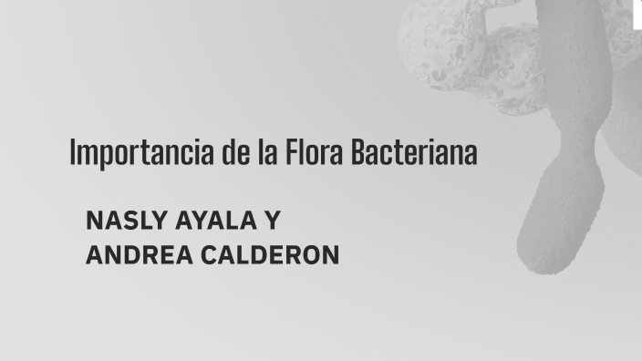 Importancia de la Flora Bacteriana by Julieth Tarazona on Prezi