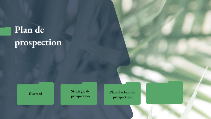 Plan de prospection by Eva BERENGUER on Prezi