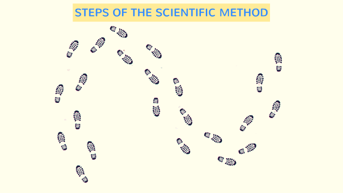 Steps of The Scientific Method - 8th Grade Science by Sara Whitefield ...