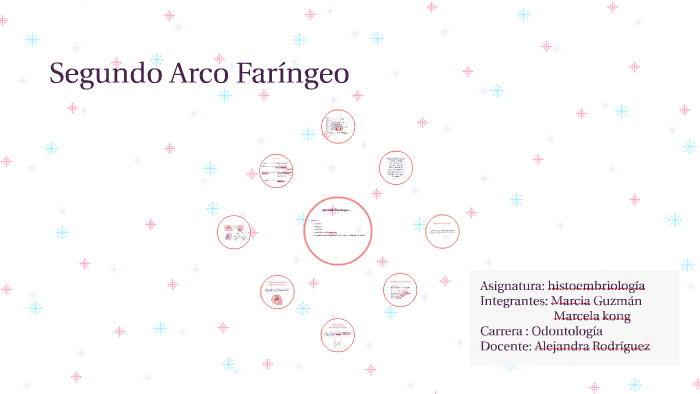 Segundo Arco Faringeo by marcela kong labra on Prezi
