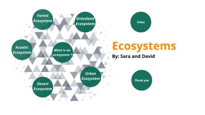 ECOSYSTEMS by sara contreras on Prezi