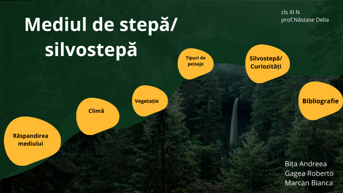 Stepa/Silvostepa by Andreea Bita on Prezi