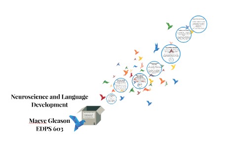 Neuroscience and Language Development by Maeve Gleason