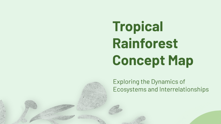 Tropical Rainforest Concept Map by Rida Naviwala on Prezi