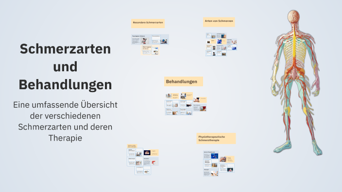Schmerzarten und Behandlungen by Arianna Sahbaz on Prezi