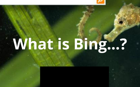 What does bing stand for??? by Brandon Taylor on Prezi