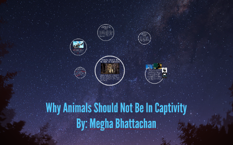 Why Animals Should Not Be In Captivity by Megha Bh on Prezi