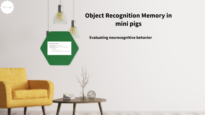 Object Recognition Memory by Veridiana Nadruz on Prezi