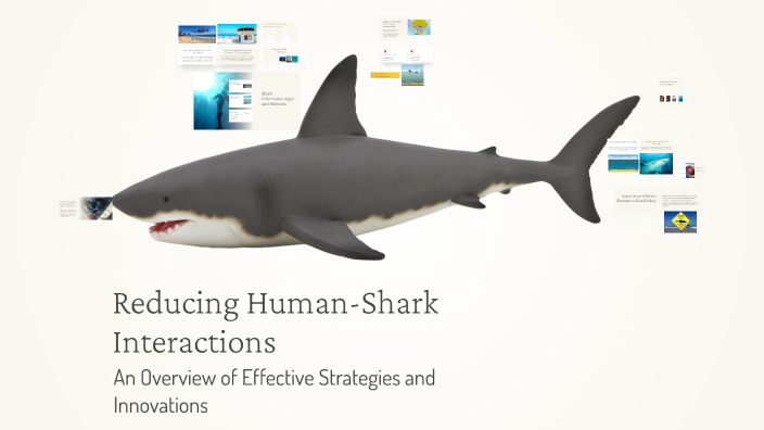 Reducing Human-Shark Interactions by Matt Henwood on Prezi
