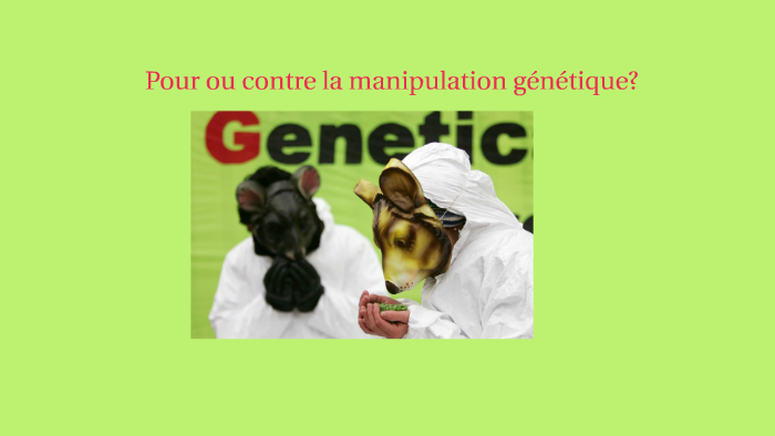 Pour ou contre la manipulation génétique? by Cassandre Acocella on Prezi