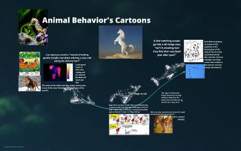 Animal Behavior Cartoons by najlaa kareem on Prezi