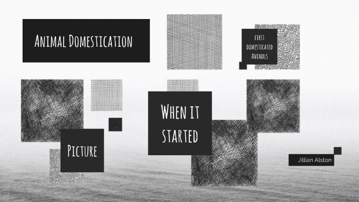 Animal Domestication by Jillian Alston on Prezi