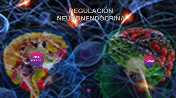 REGULACIÓN NEUROENDOCRINA de la Alimentación by Alejandra Pilar Rodríguez on Prezi