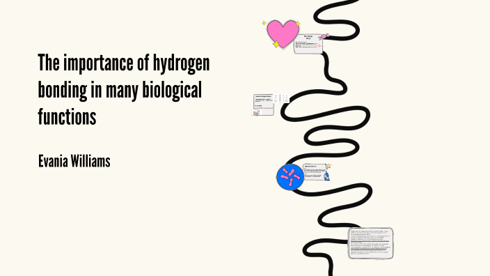 the importance of hydrogen bonding in many biological functions by ...