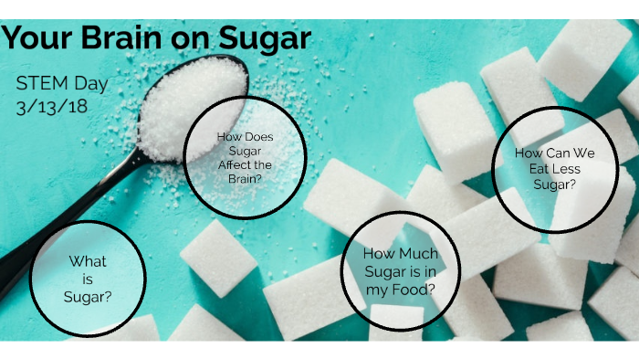 Your Brain on Sugar by Brooke Bianchini on Prezi