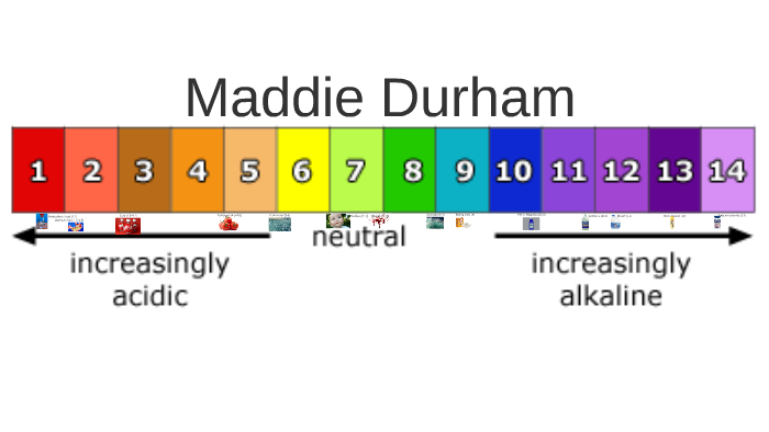 Hydrochloric Acid by Madison Durham