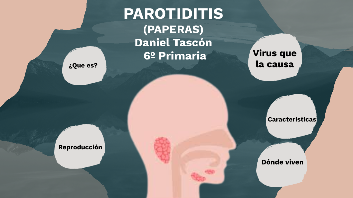 PAROTIDITIS by DANIEL TASCÓN REDONDO on Prezi