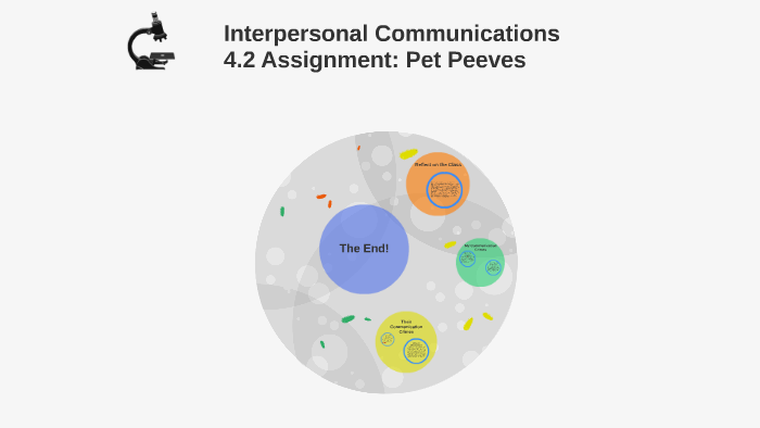 Interpersonal Communications 4.2 Assignment: Pet Peeves by Daniel Allen ...