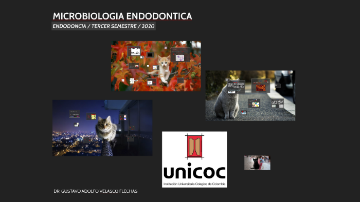 MICROBIOLOGIA ENDODONTICA by Gustavo Velasco on Prezi