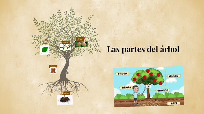 Las partes del arbol by Jhenny Oros Arenas on Prezi